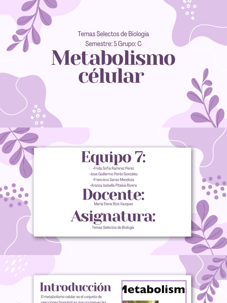 Metabolismo Celular - 20240924 - 060244 - 0000 - 071839 | PDF Metabolismo Celular - 20240924 - 060244 - 0000 - 071839 | PDF