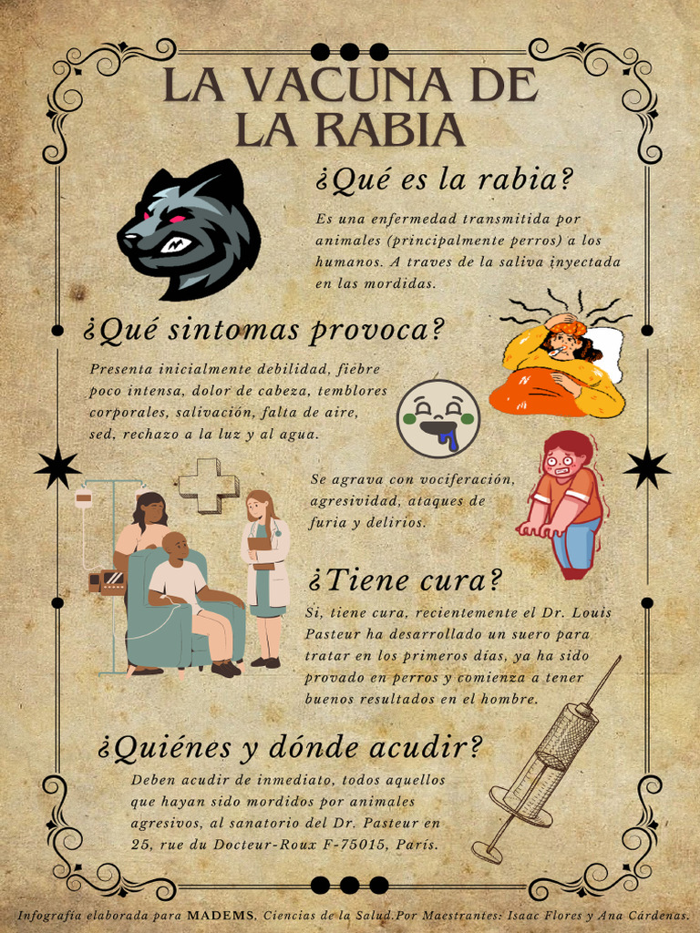 Infografia Rabia | PDF