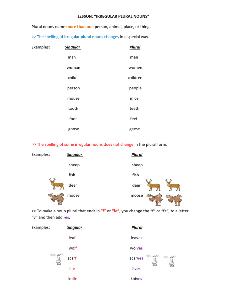Grammar - Irregular Plural Nouns | PDF