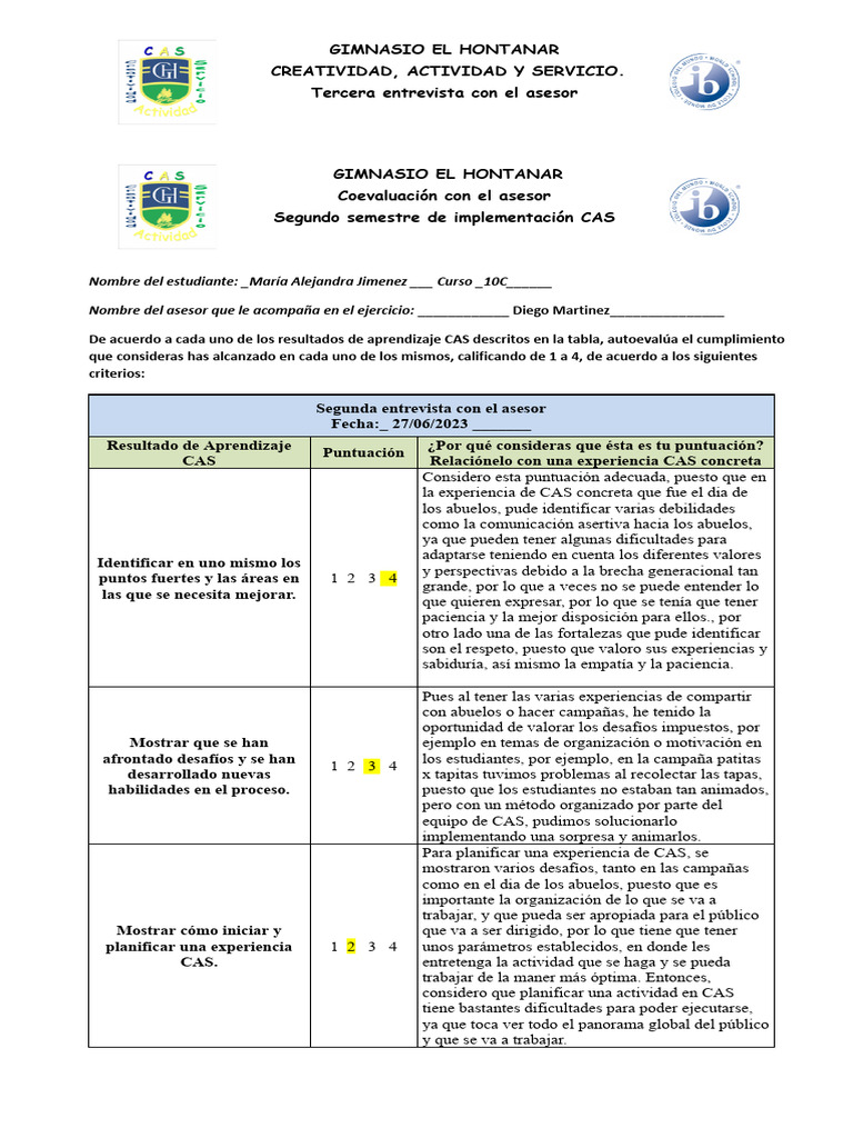 Segunda Entrevista Con El Asesor | PDF