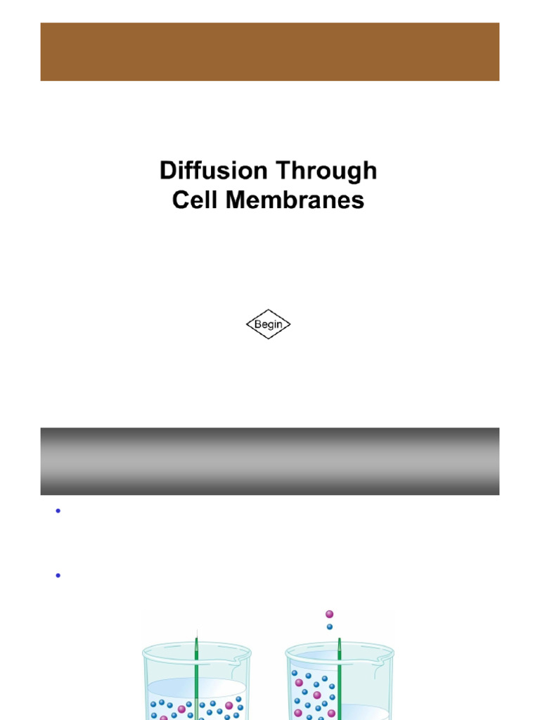 Movement Across Cell Membrane 2 | PDF
