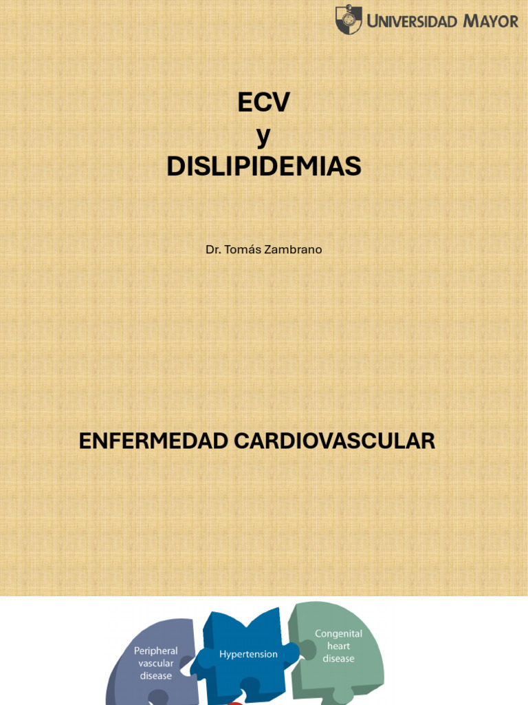 Presentacioěn ECV | PDF