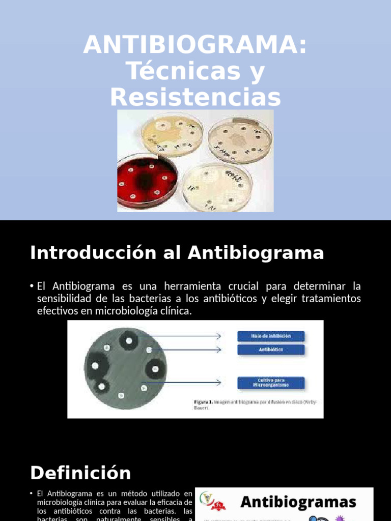 Diapositivas ANTIBIOGRAMA | PDF