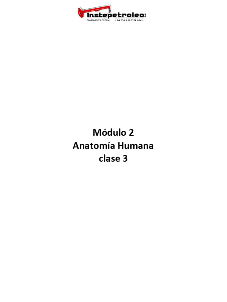 Módulo 2 - Anatomía Humana - Clase 3 | PDF