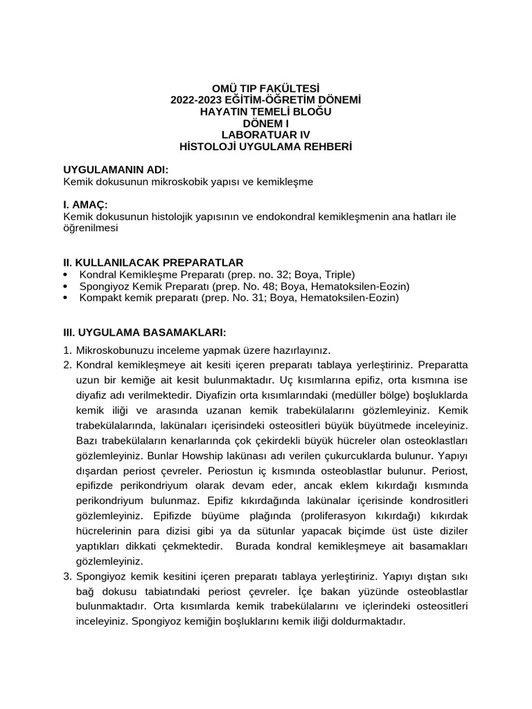 Lab IV - Kemik Dokusunun Mikroskobik Yap S Ve Endokondral Kemikles Gme ...