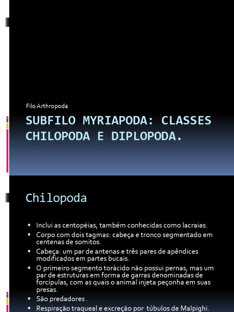 Arthropoda Myriapoda e Insecta | PDF