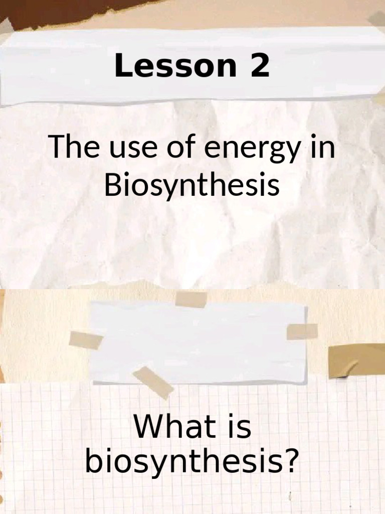 Lesson 2-WPS Office | PDF