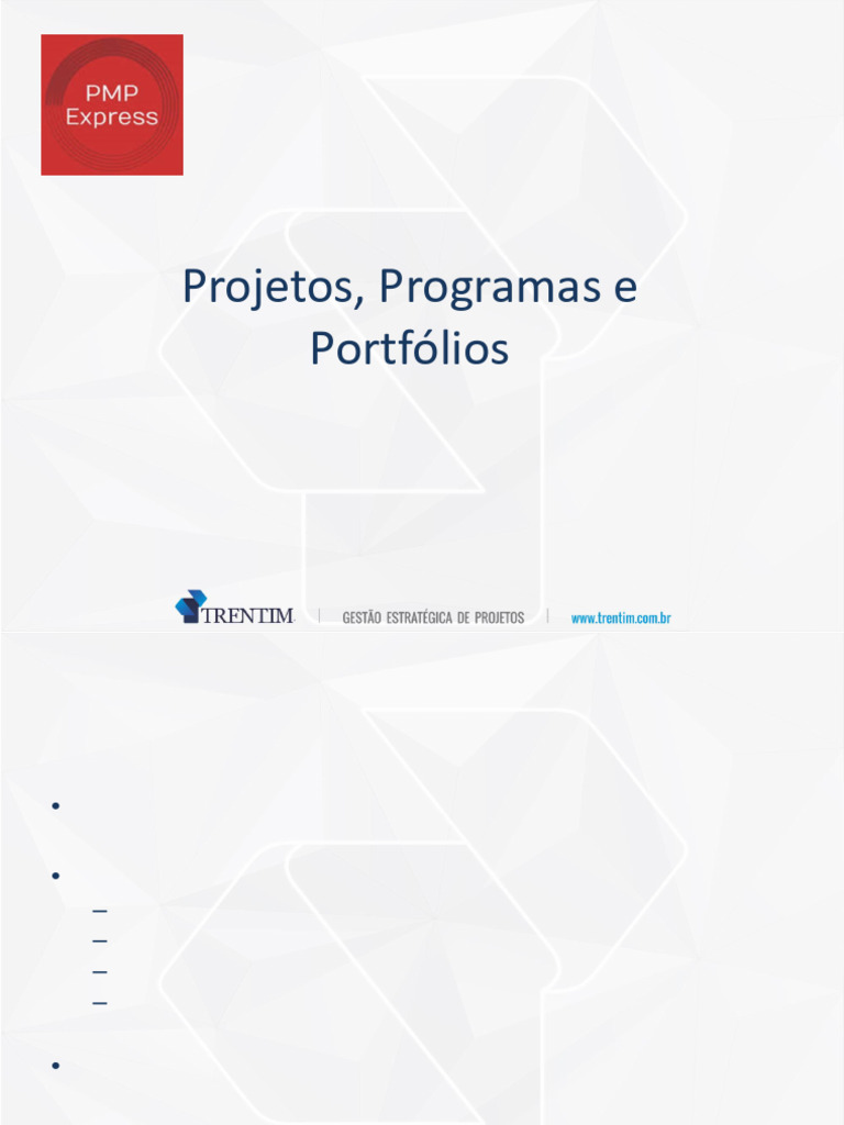 12 Projeto Programa Portfolio | PDF