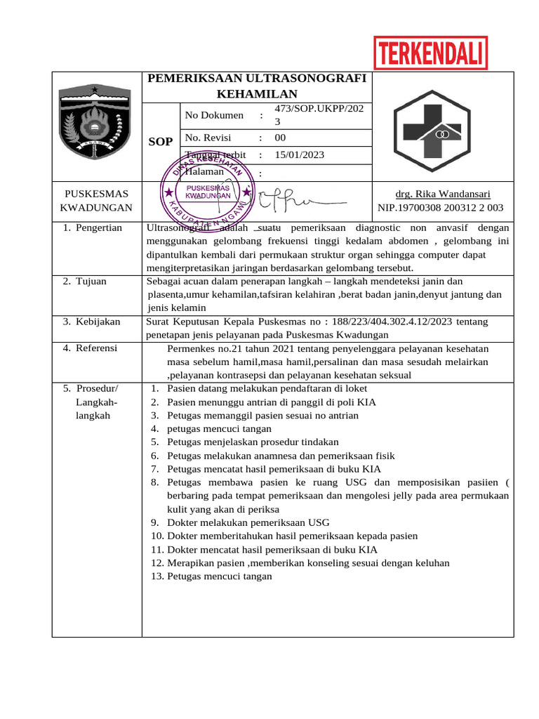 473 Pelayanan USG | PDF