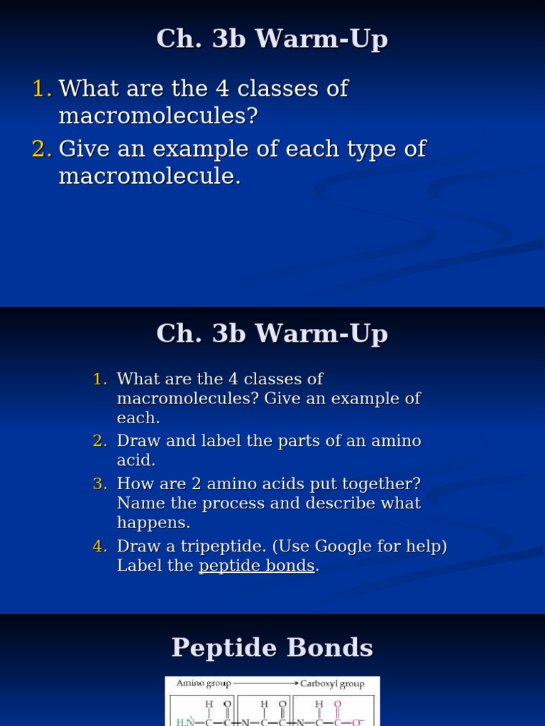 Ch. 3b Macromolecules | PDF