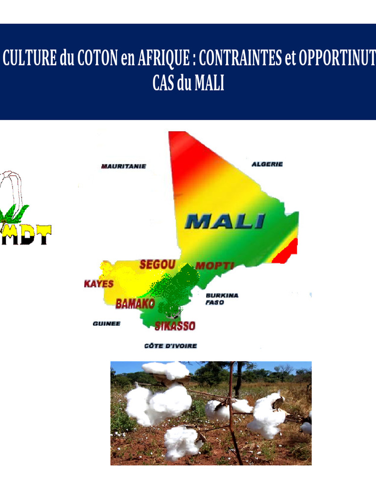 Presentation-M-Boubacar-BA | PDF