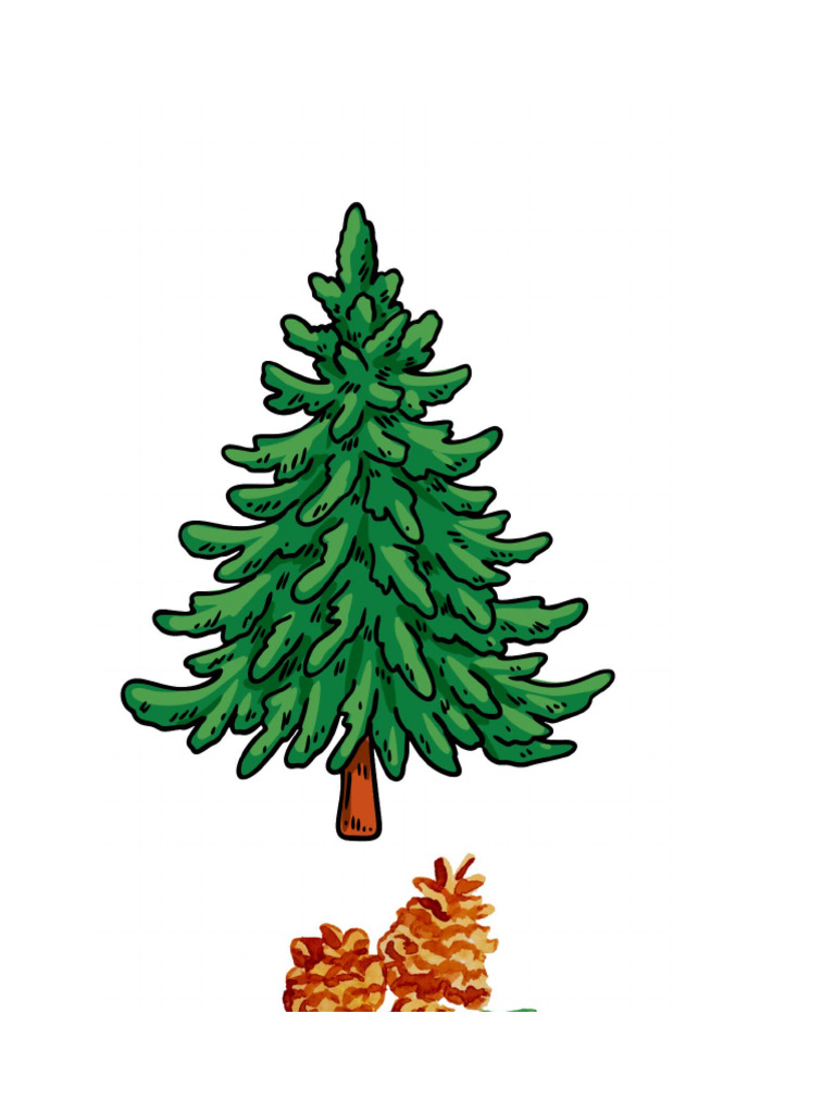pine tree | PDF