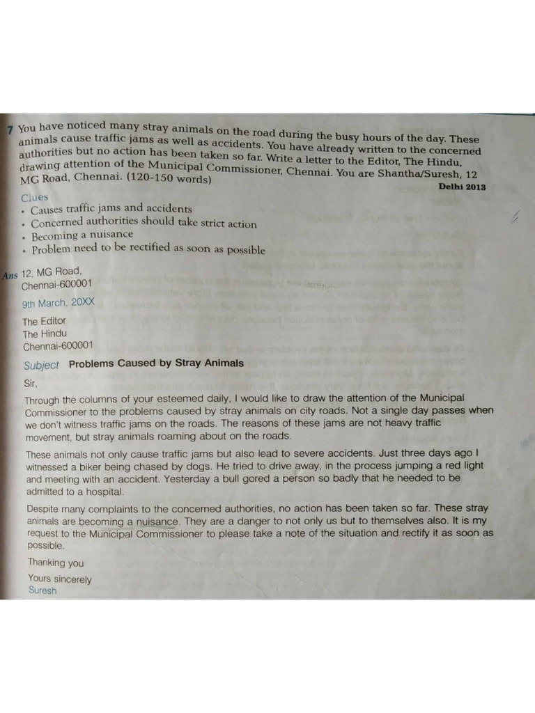 Creative Writing Examples | PDF