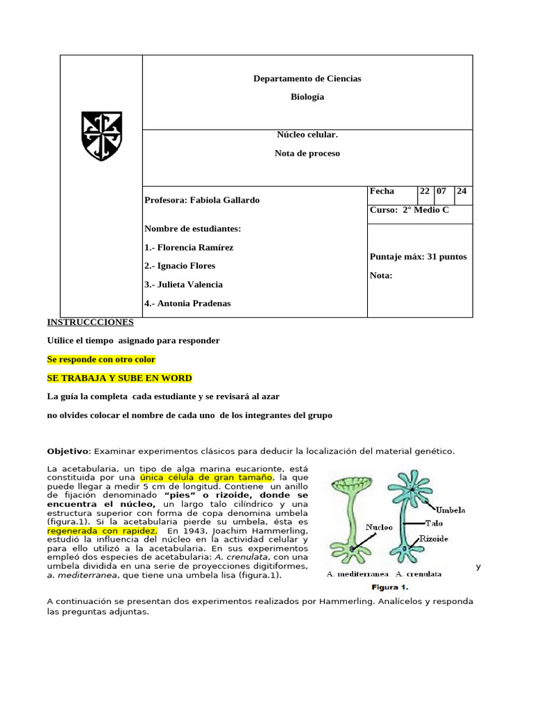 Actividad Nucleo Celular - Biologia | PDF