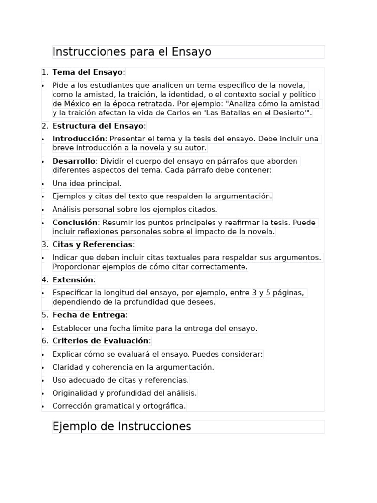 Instrucciones para El Ensayo | PDF