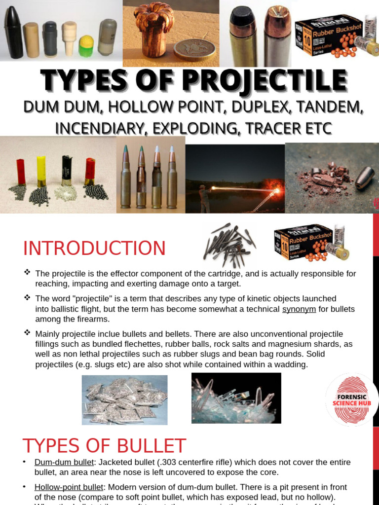 Types of Bullet | PDF