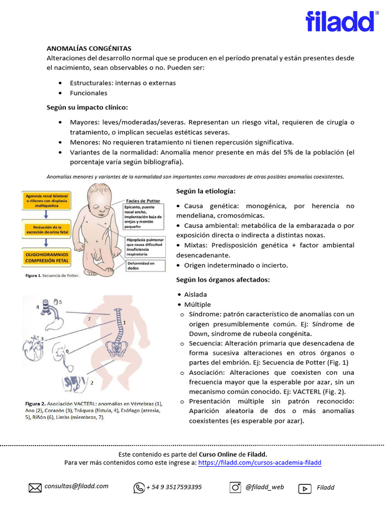 Anomalias congenitas y teratogenos | PDF Anomalias congenitas y teratogenos | PDF