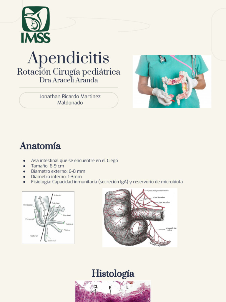 APENDICITIS | PDF