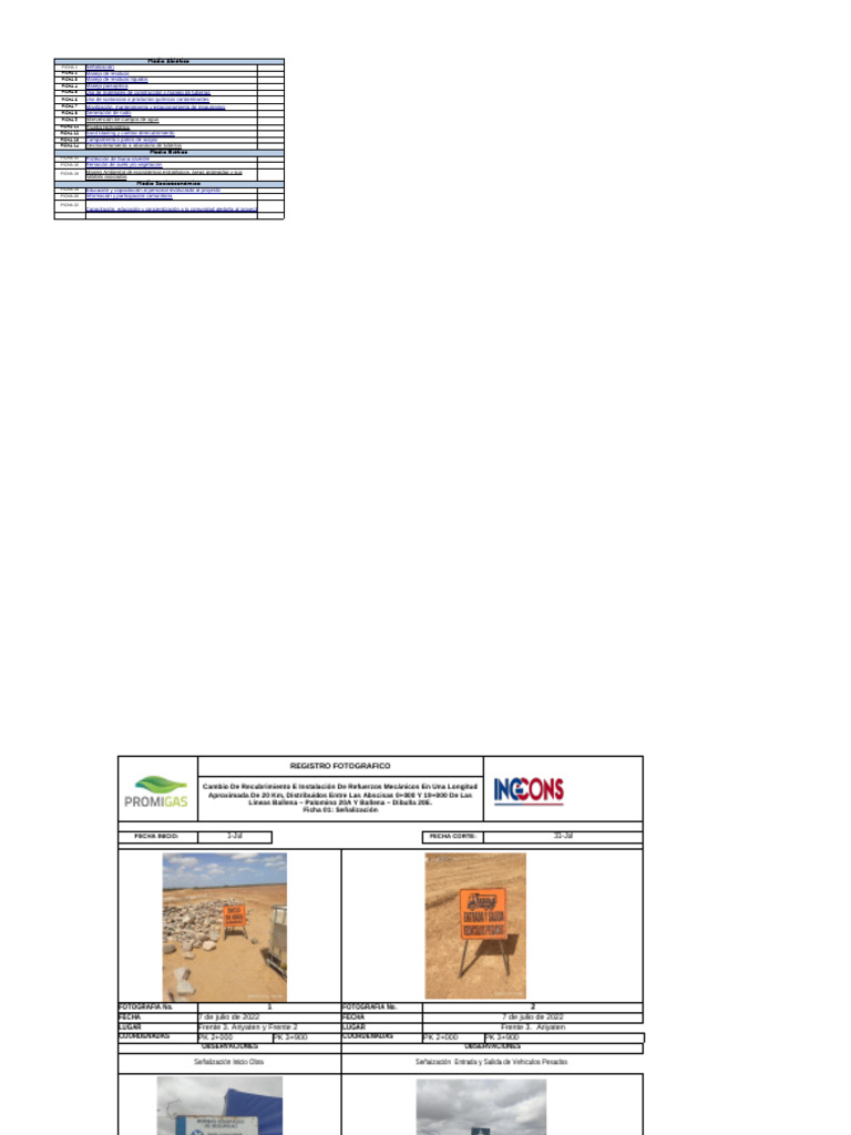 Fichas FE 823 Registro Fotográfico Julio 2022 | PDF