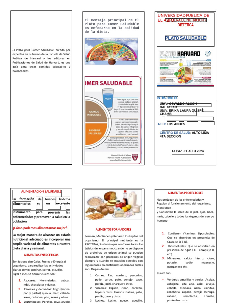 Triptico Alimentacion Saludable | PDF | Alimentos | Nutrición