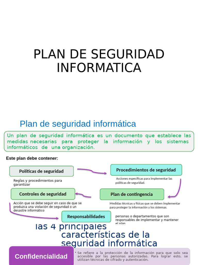 PLAN DE SEGURIDAD INFORMATICA | PDF