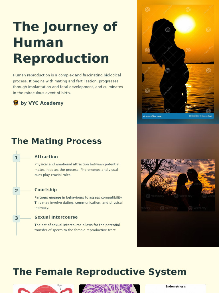 The Journey of Human Reproduction | PDF