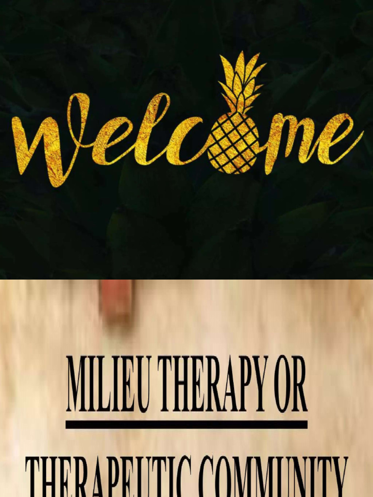 Milleu Therapy | PDF