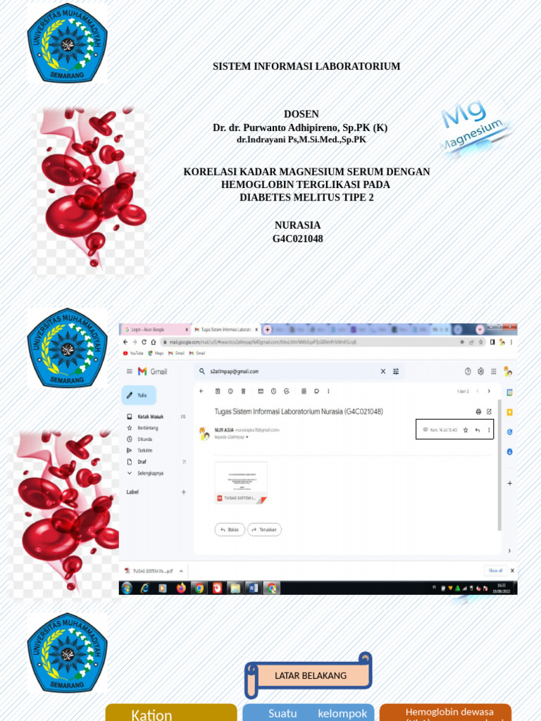 Sistem Informasi Laboratorium Nurasia (G4C021048) | PDF