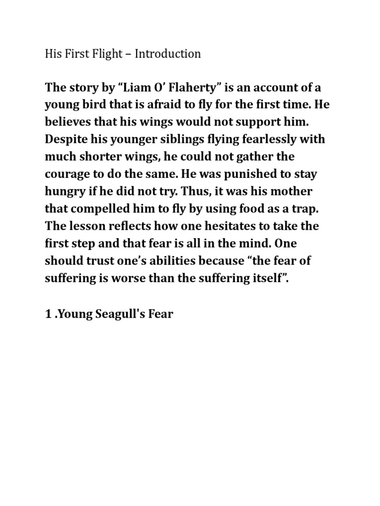 Two stories about Flying | PDF