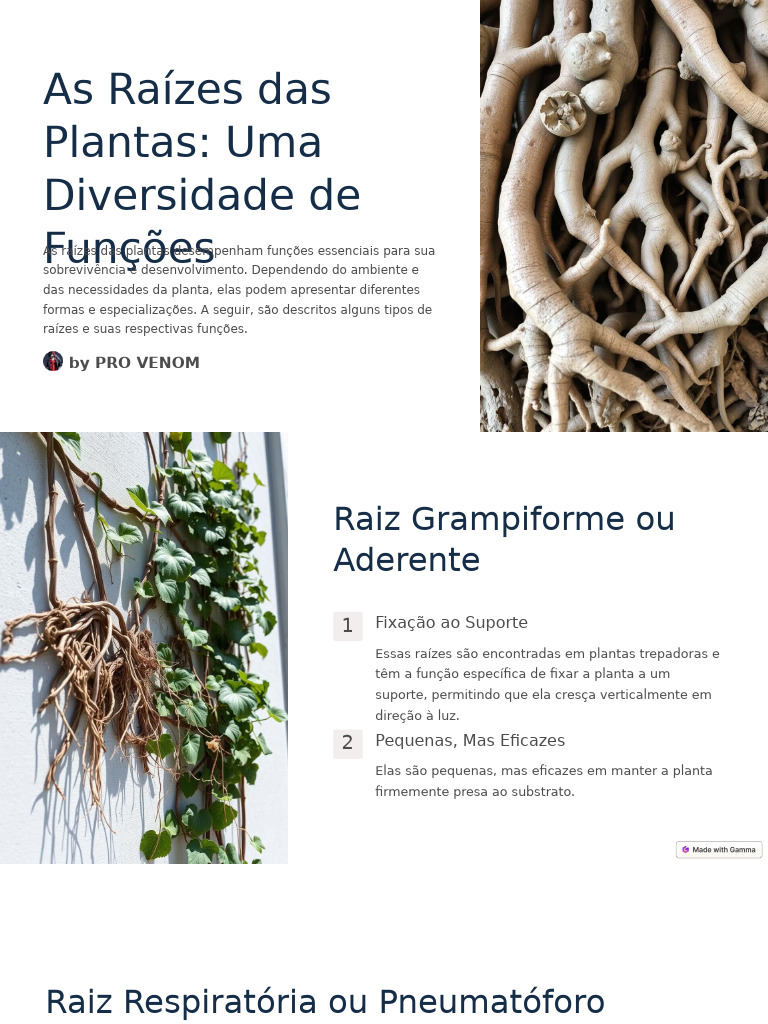 As Raizes Das Plantas Uma Diversidade de Funcoes 2 | PDF