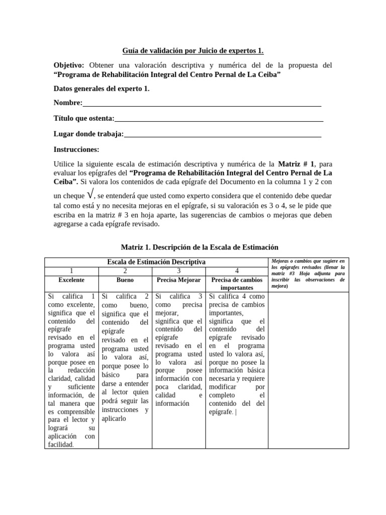 7guía Juicio de Experto 1 | PDF