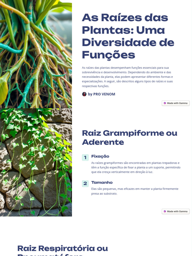 As Raizes Das Plantas Uma Diversidade de Funcoes | PDF