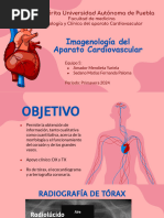 Angiotac para TEP: Protocolo y Hallazgos | PDF | Infarto de miocardio ...