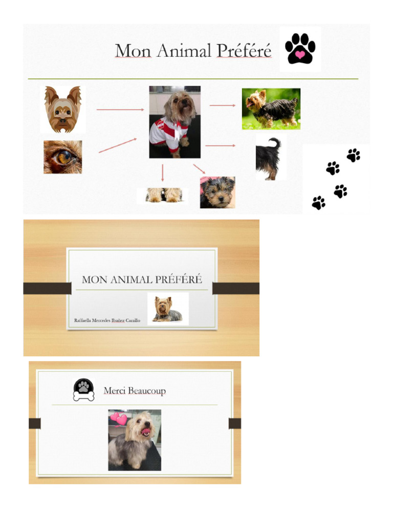 Animal Préféré (FR) | PDF