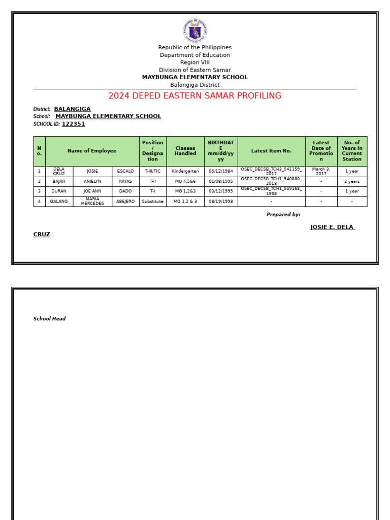 MES Deped-Profiling-2024 | PDF
