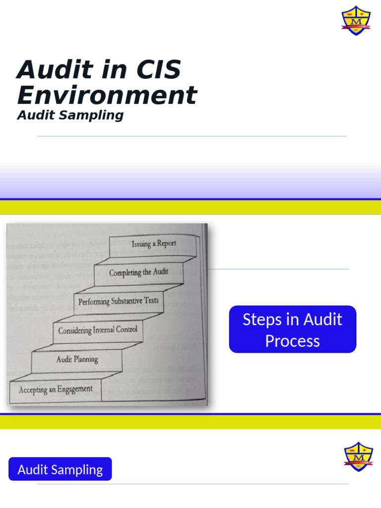 Chapter 9 Audit Sampling | PDF | Sampling (Statistics) | Computers