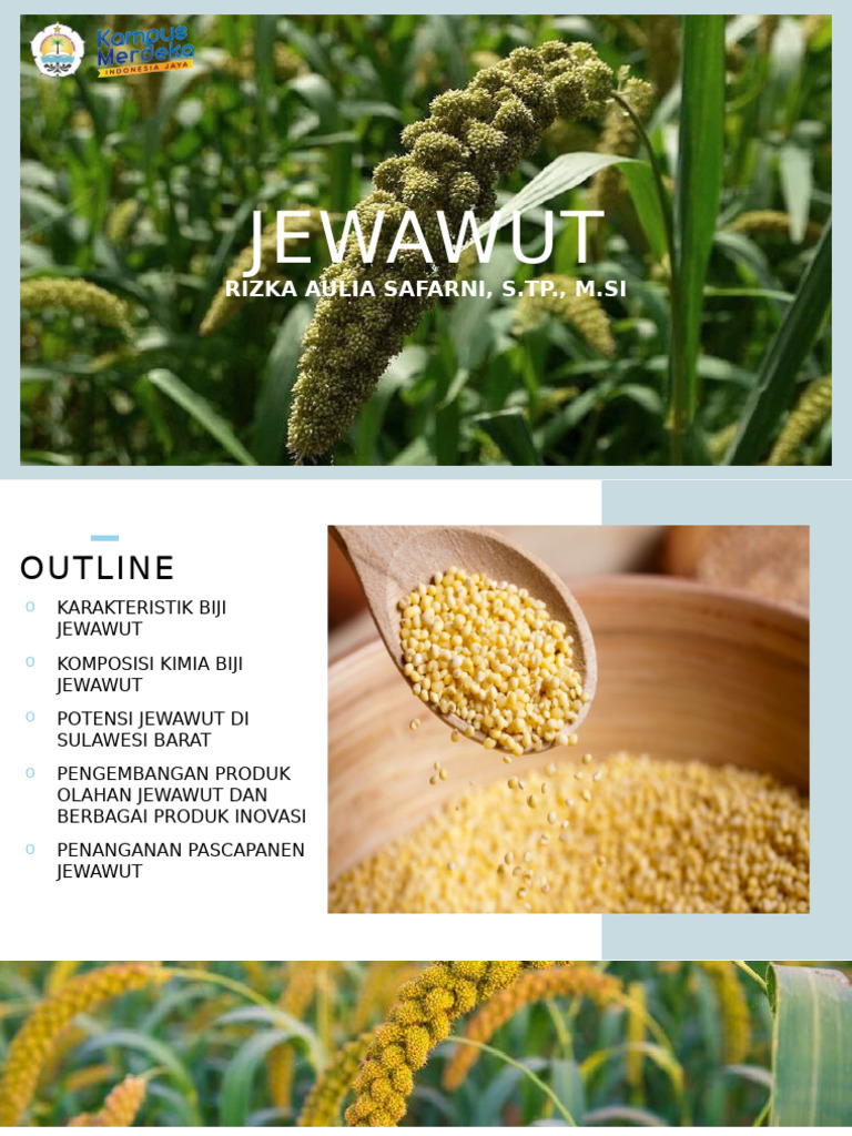 Pert.2 Jewawut | PDF