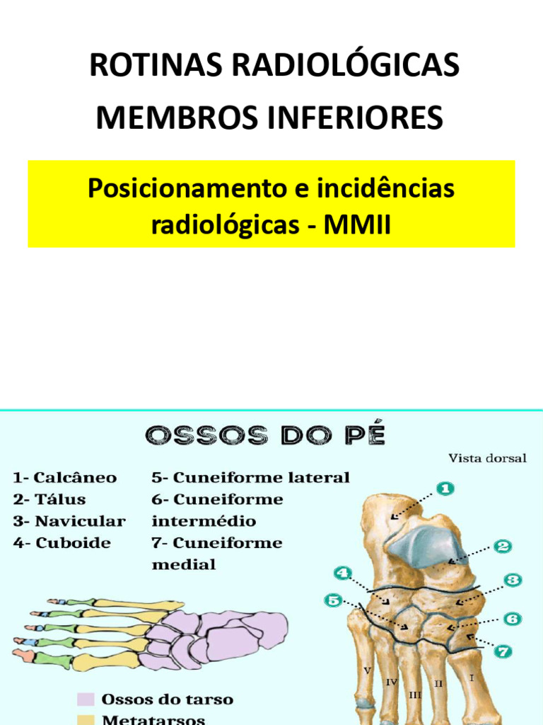 Posicionamento MMII-1 | PDF