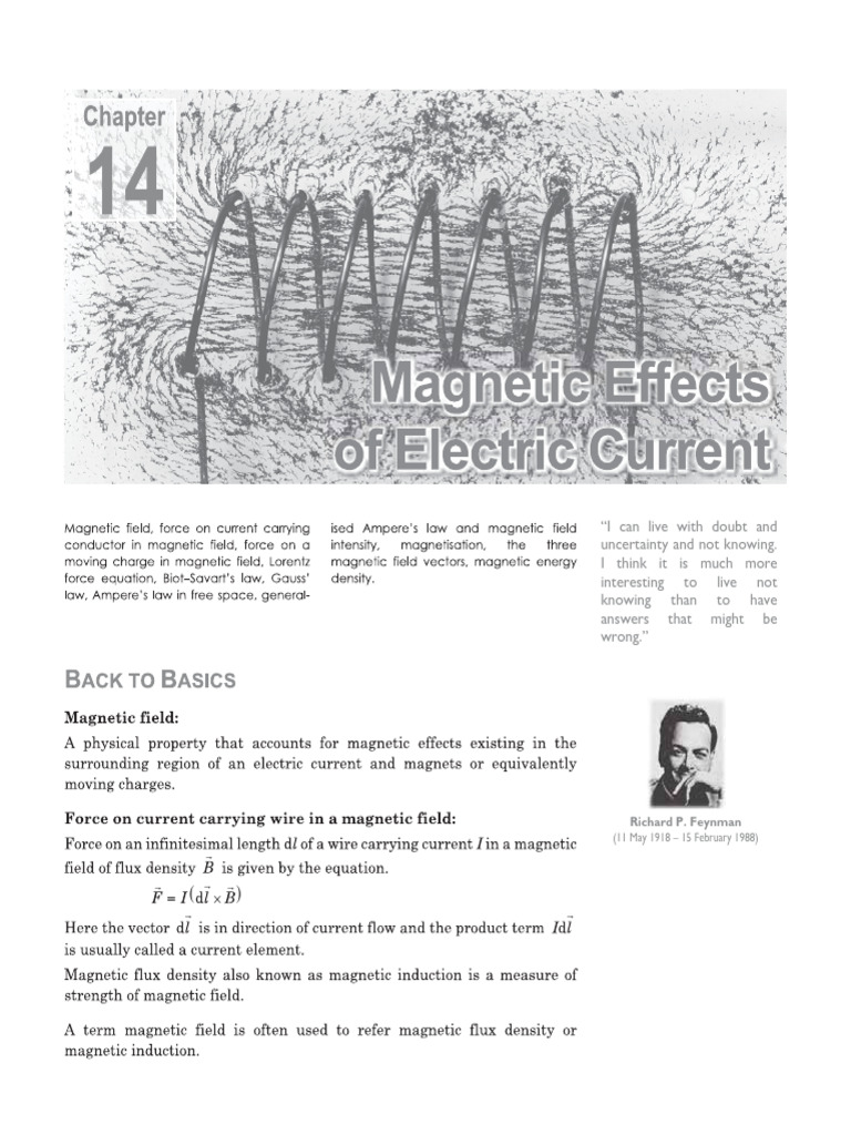 magnitism-pdf