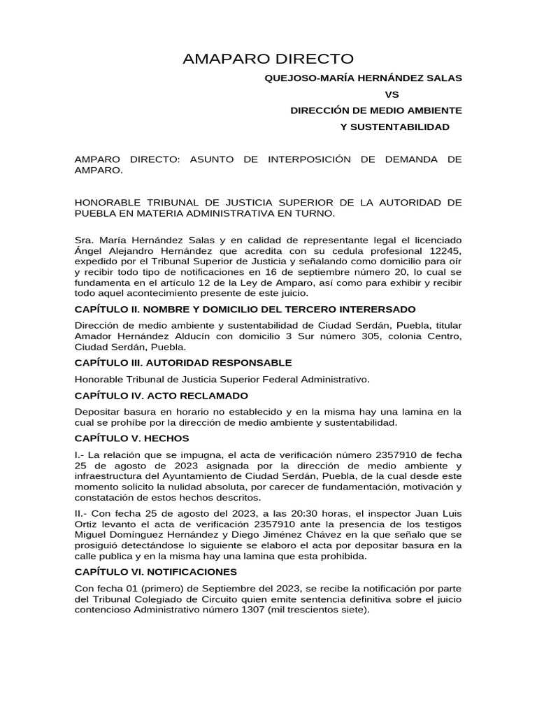 AMPARO DIRECTO | PDF