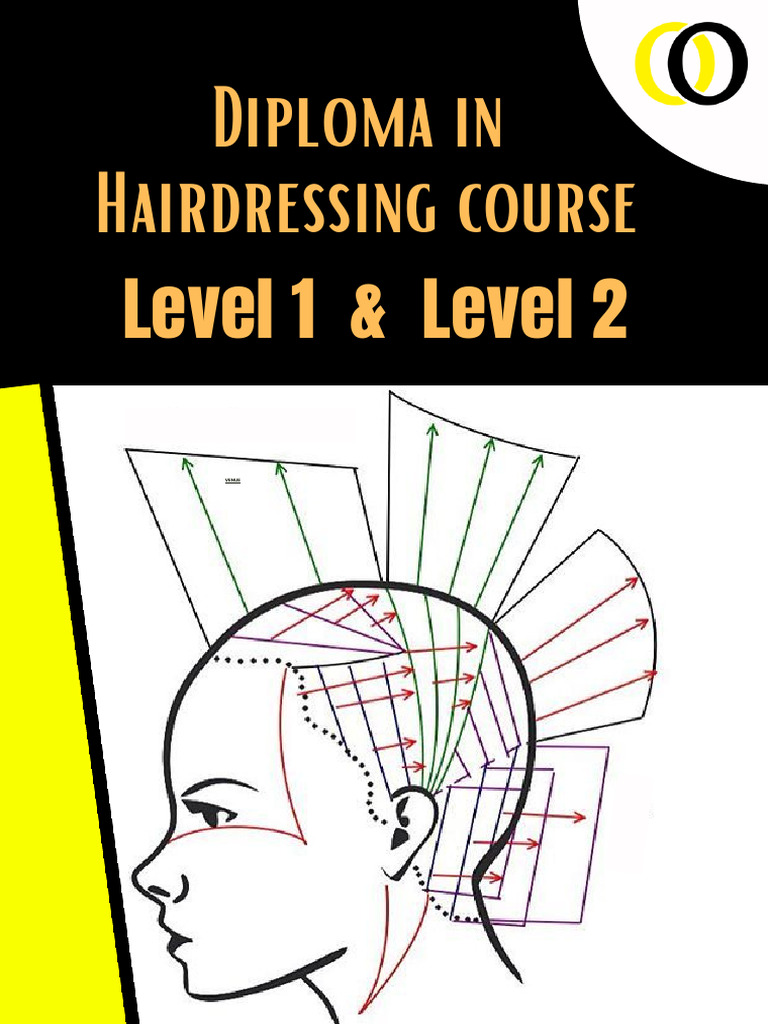 HD-Hairdressing - Level 1 & 2 | PDF | Hair | Hairdresser