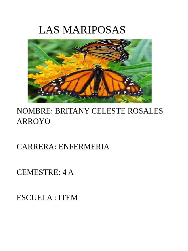 Las Mariposas | PDF | Lepidópteros | Mariposa