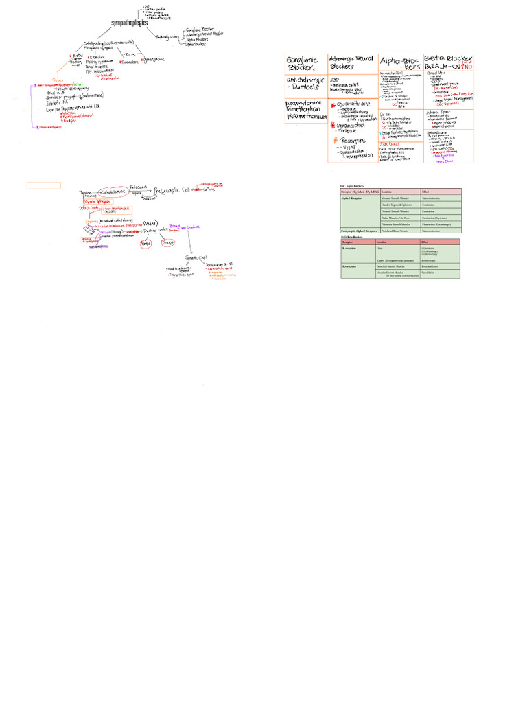 Sympathoplegics | PDF