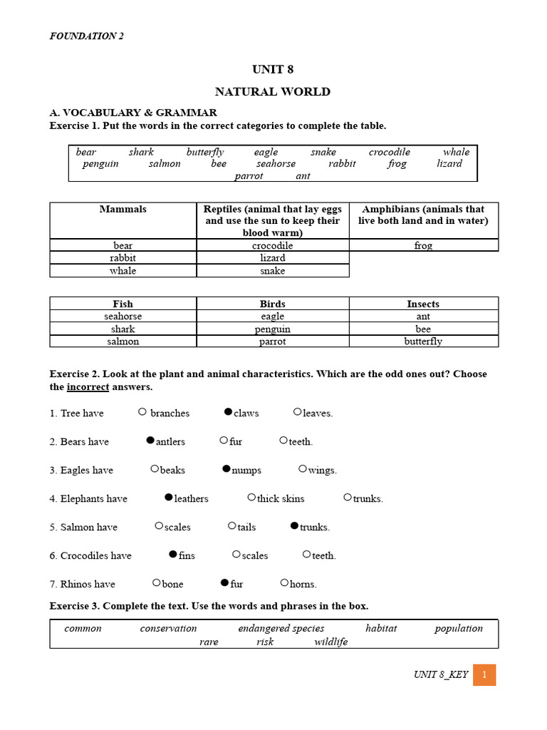 Unit 8 - Answer Key | PDF