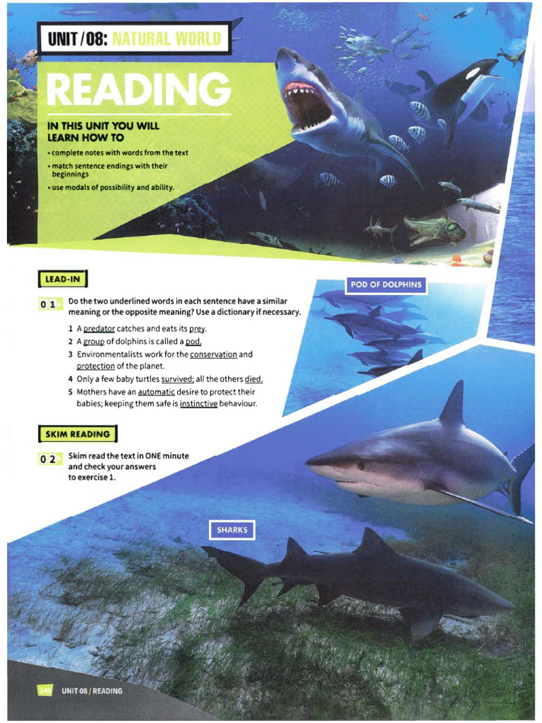 Mindset 1 Unit 8 Natural world (student handout) | PDF