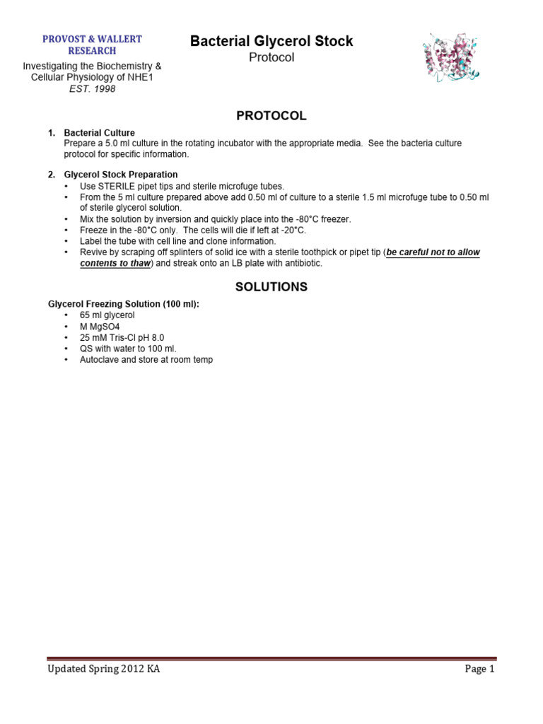 Bacteria Glycerol Stock Protocol | PDF