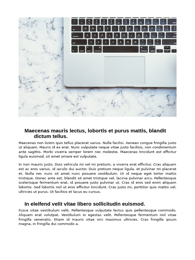 File-Example - PDF - 1MB (Dragged) 4 | PDF