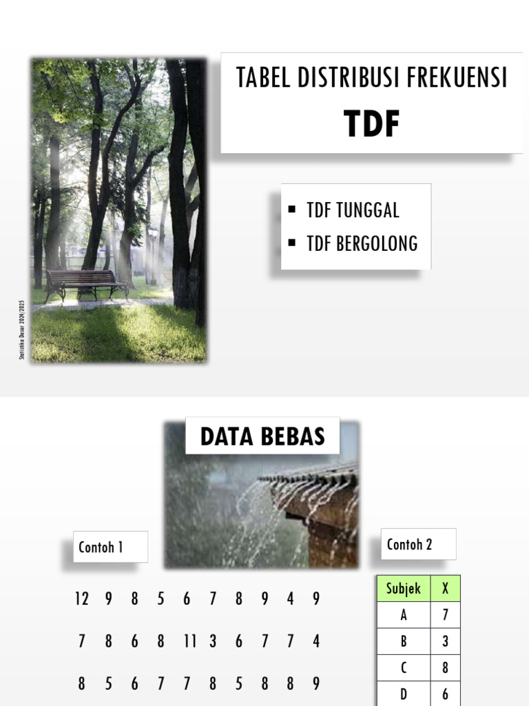 Tabel Distribusi Frekuensi (TDF) .2024-2025 | PDF