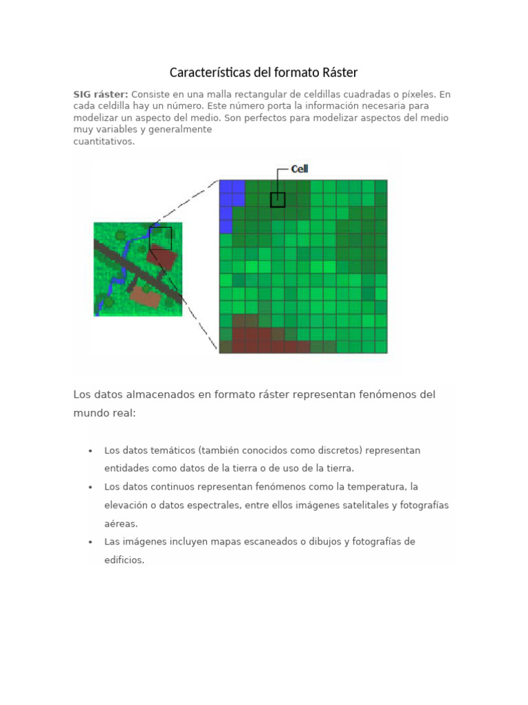 Características Del Formato Ráster | PDF