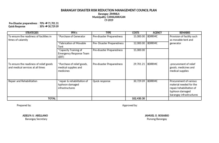 Barangay Disaster Risk Reduction Management Council Plan | PDF